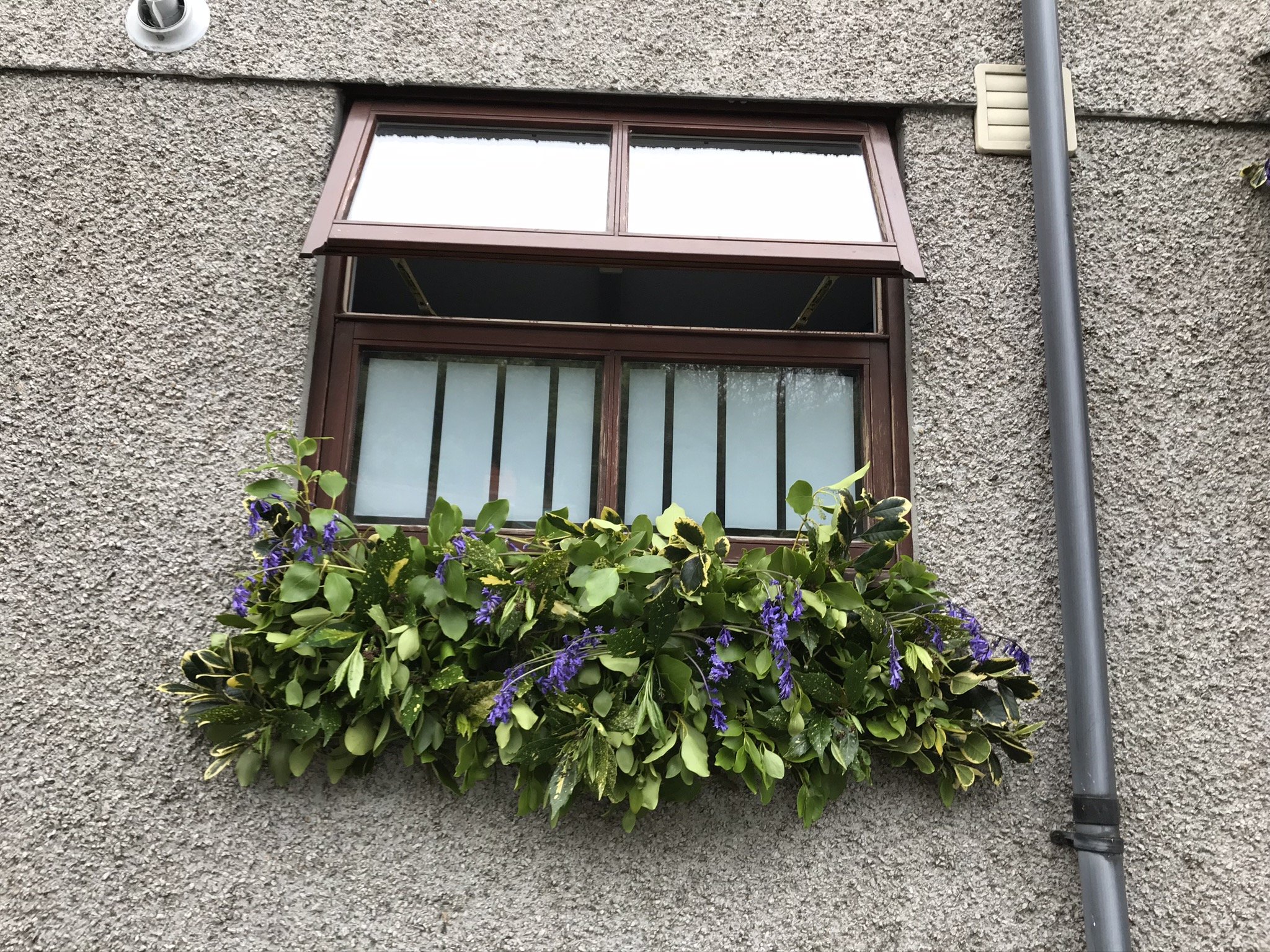 Jolly Rumble-O! Helston Flora Day and its music – Cornish Trad